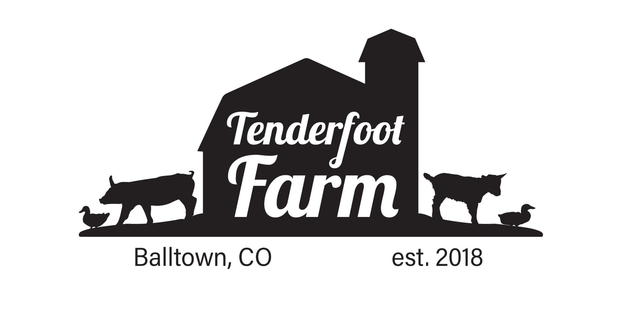 Tenderfoot